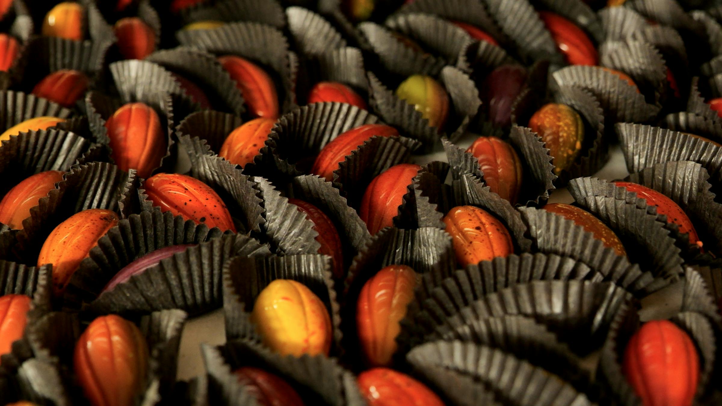 Minnesota-made bonbons win awards at international chocolate competition