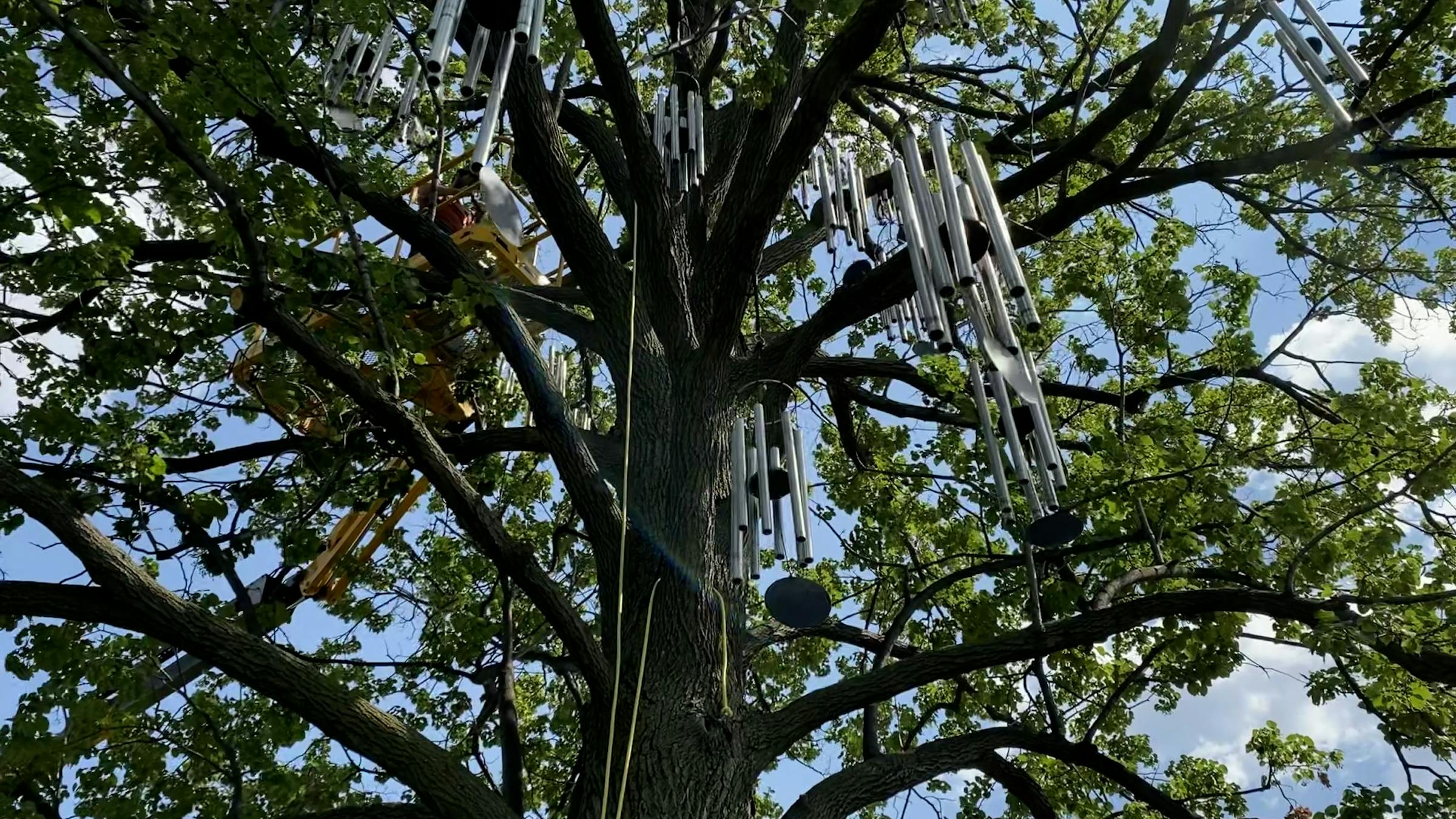 Beloved wind chime installation returns to Minneapolis Sculpture Garden