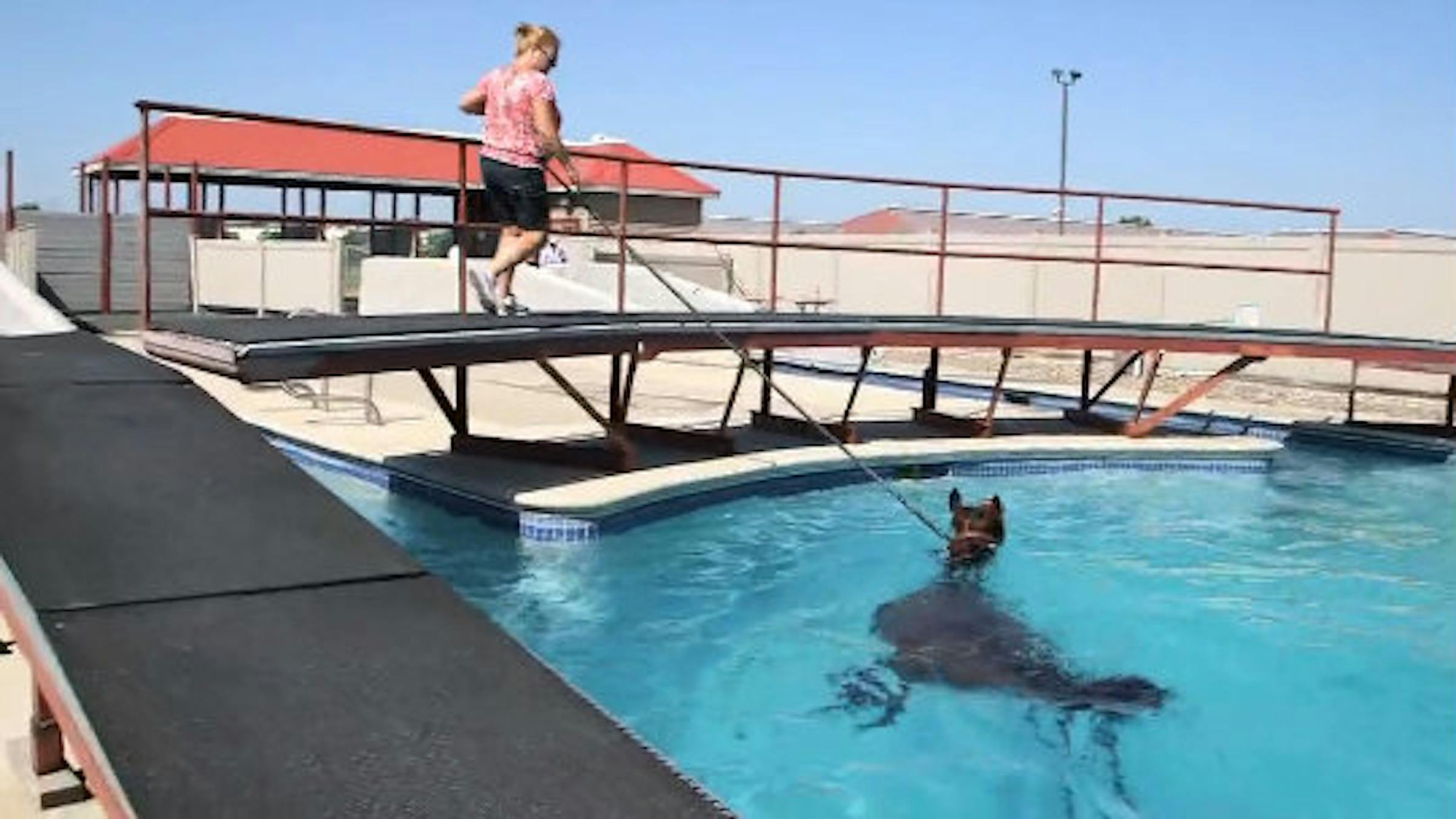 Leading horses to water: The Canterbury swimming pool